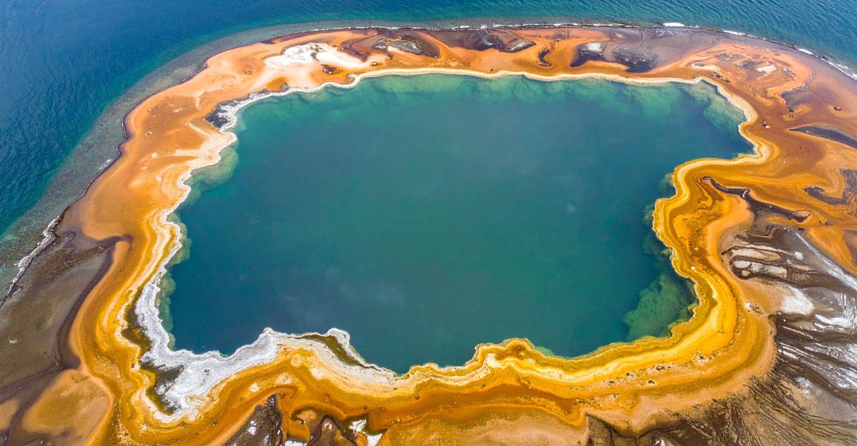 Canva – Truecreatives